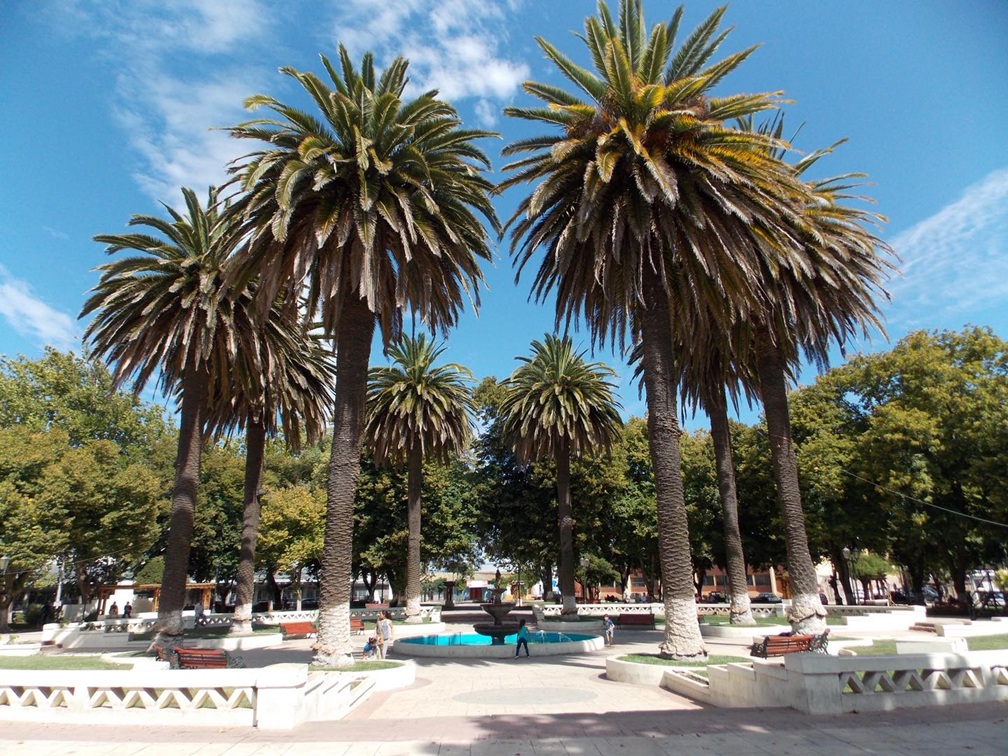 Parral impulsa Plan “Ciudad Bosque” para el desarrollo sustentable de ...