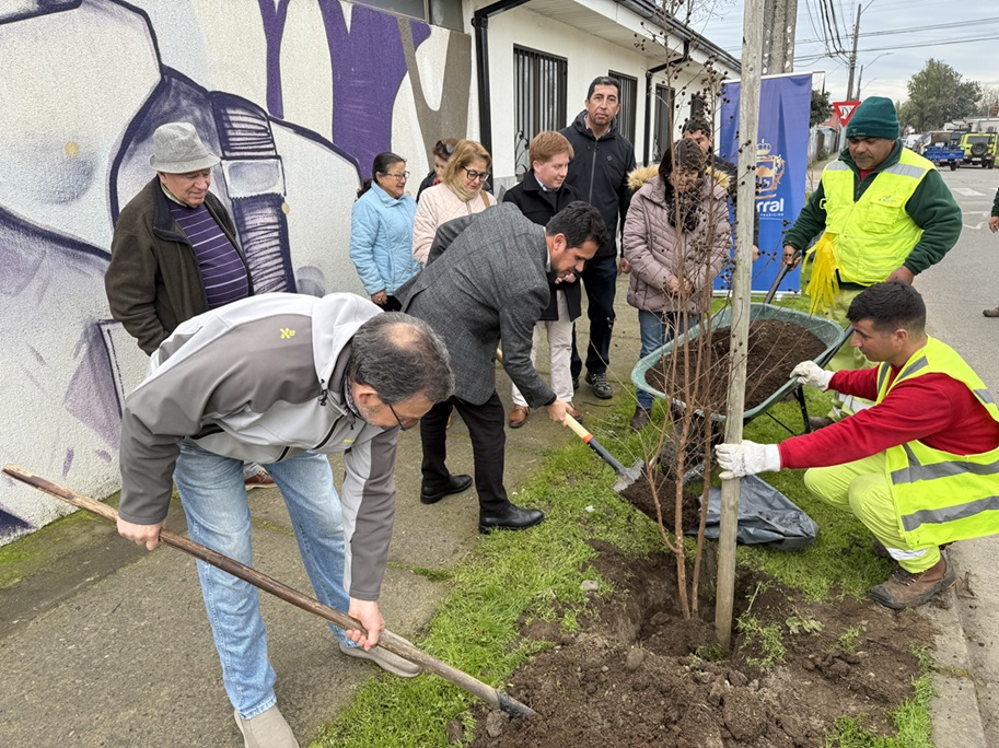 Parral comenzó la plantación de árboles para potenciar el desarrollo ...